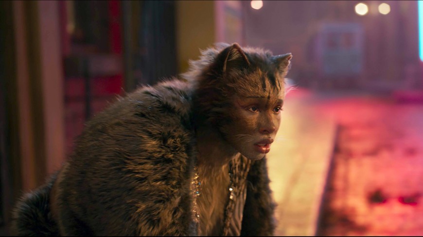 Resource - Cats: Film Guide - Into Film