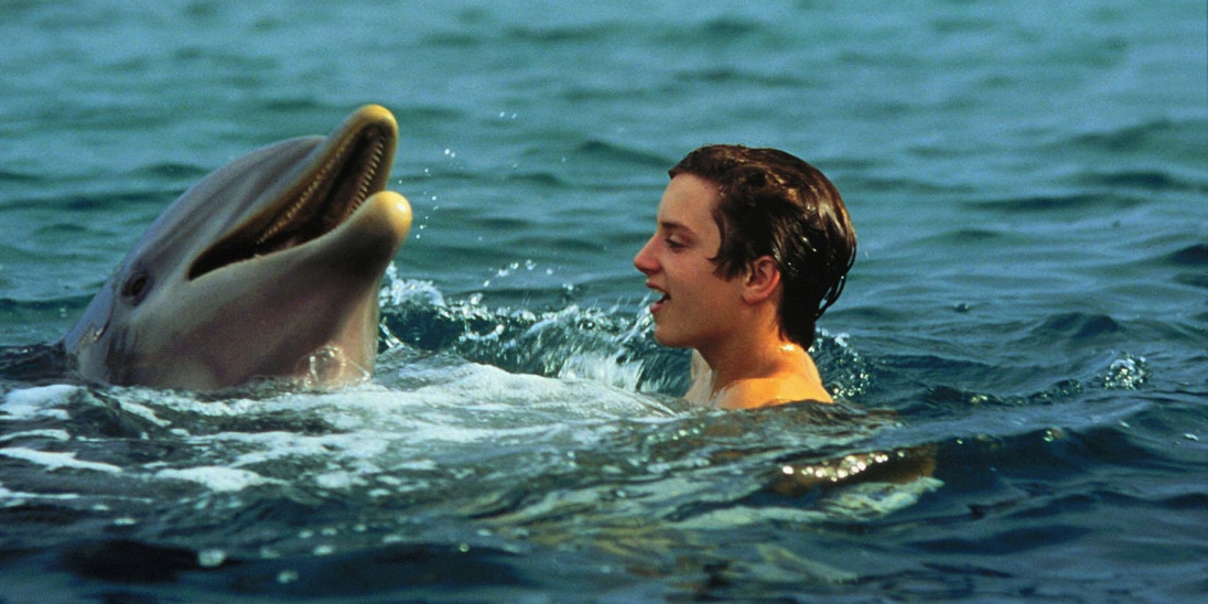 Film - Flipper - Into Film