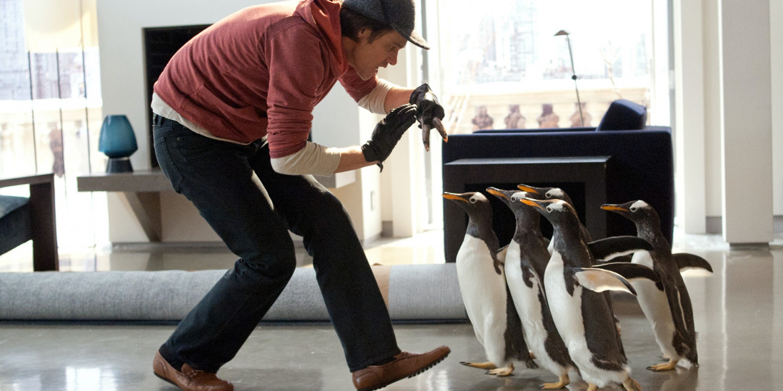Film - Mr Popper's Penguins - Into Film
