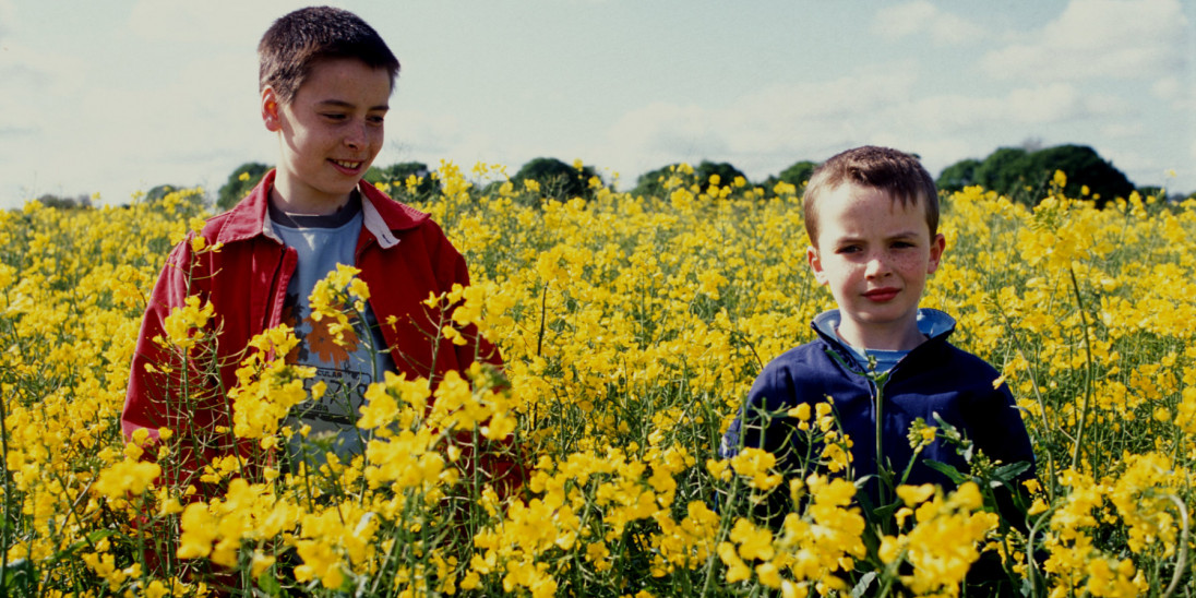 Film - Millions - Into Film