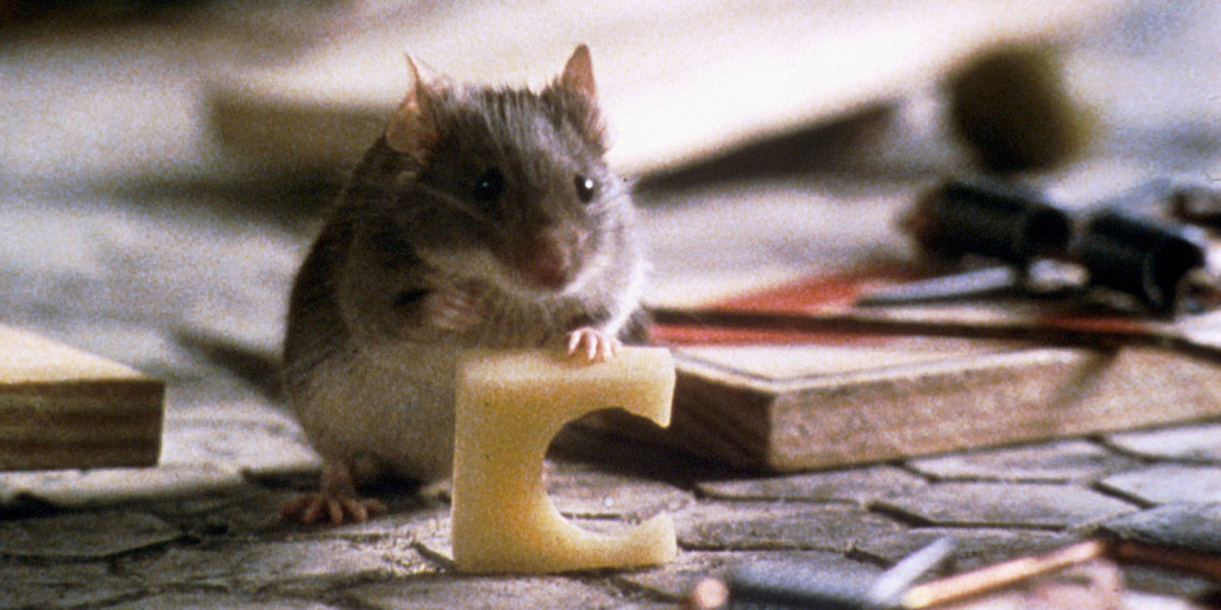 Mousehunt (1997) Movie Review