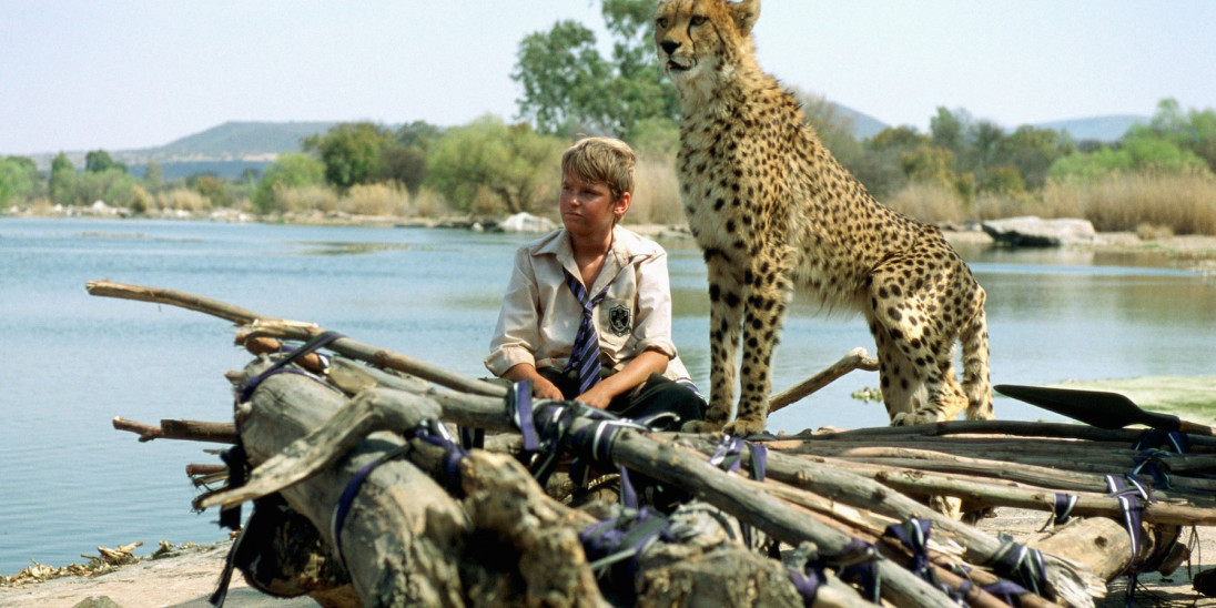 Film - Duma - Into Film