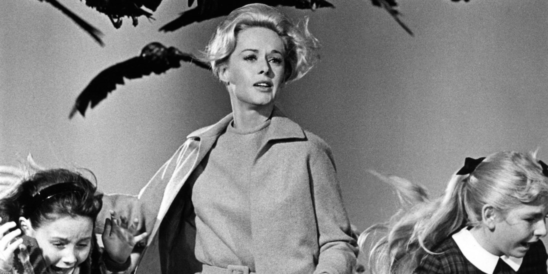 Film - The Birds - Into Film