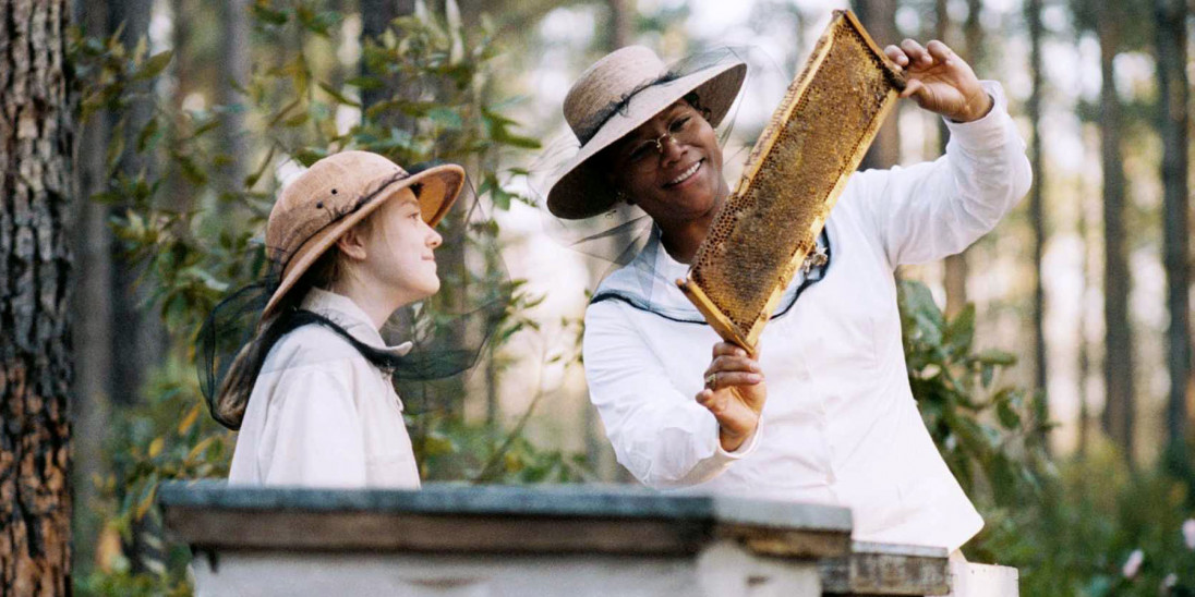 Film - The Secret Life of Bees - Into Film