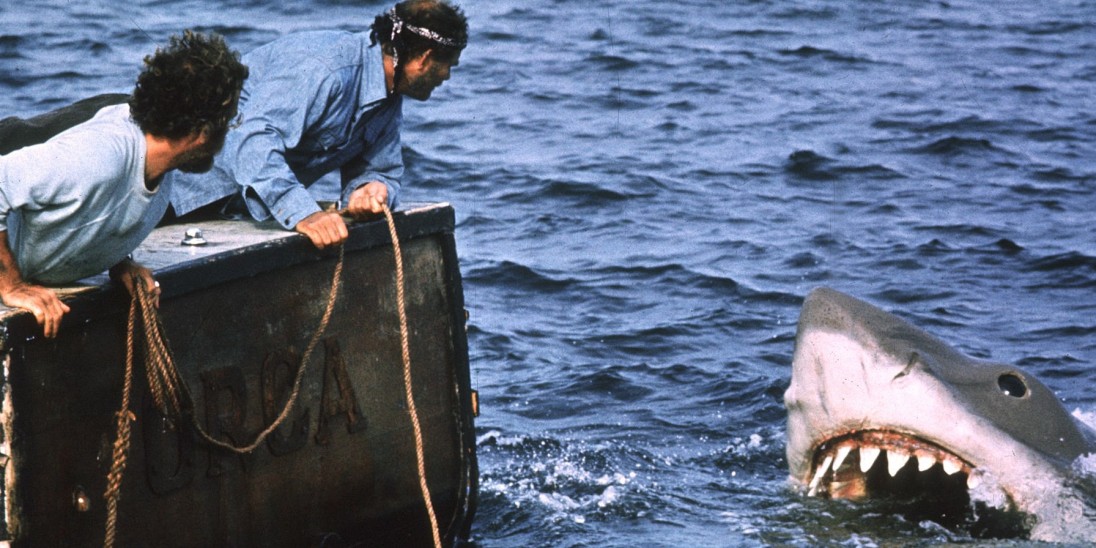 Review Flow - Into Film