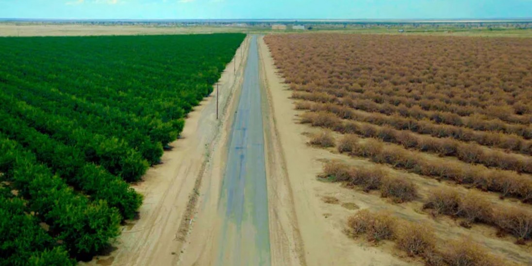 Film - Water and Power: A California Heist - Into Film