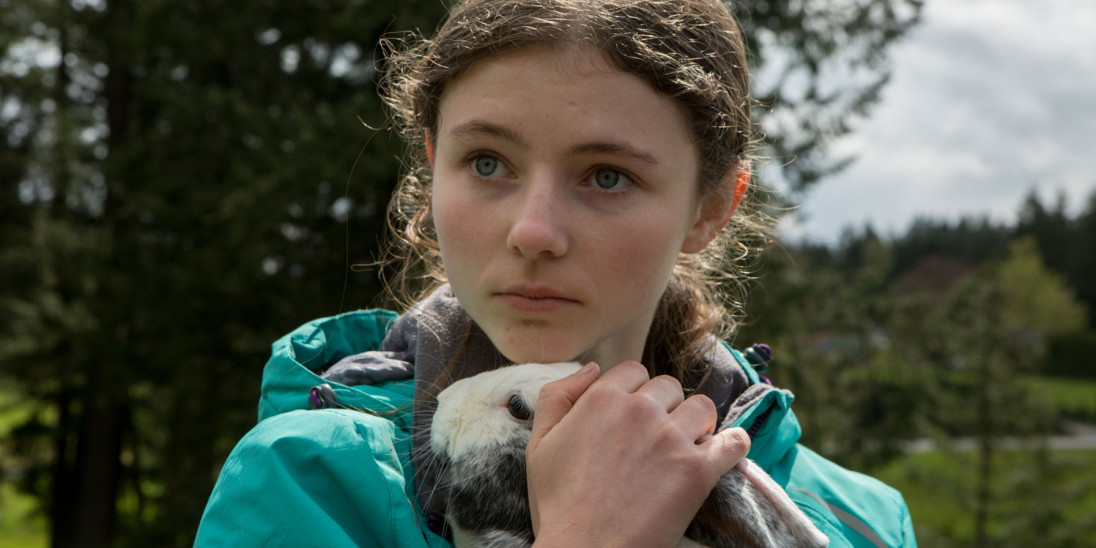 Film - Leave No Trace - Into Film