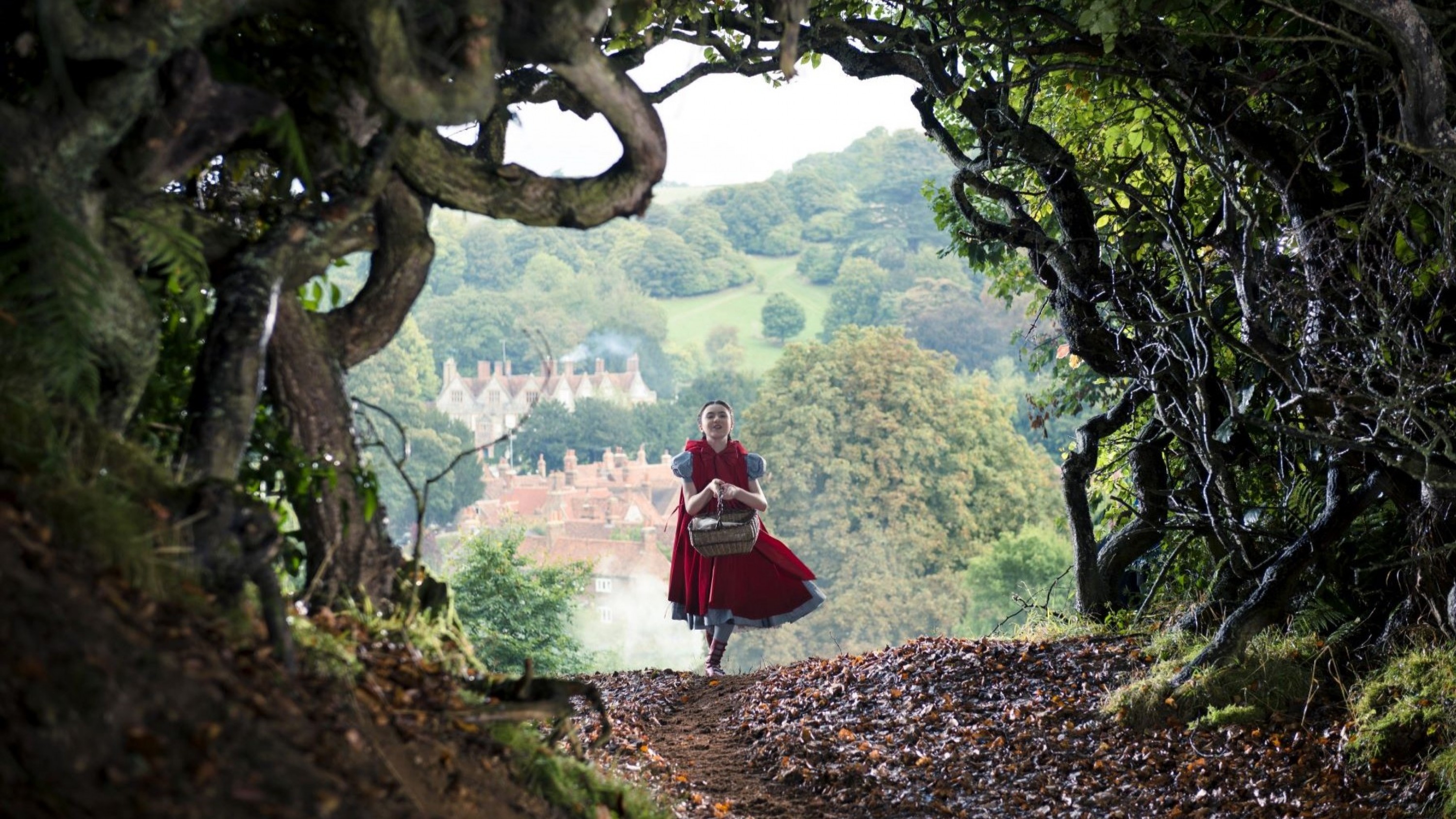 Resource - Into the Woods: Film Guide - Into Film