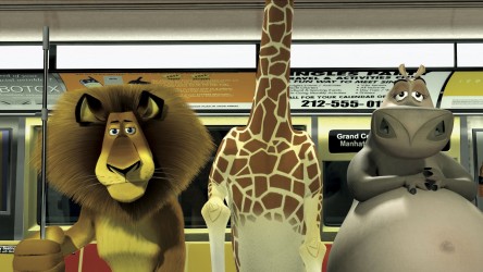 Film - Madagascar - Into Film