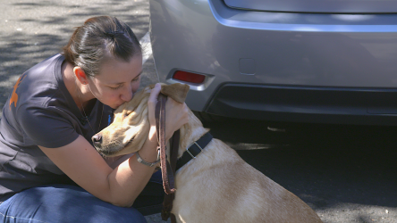 Resource - Pick of the Litter: Film Guide - Into Film