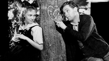 Review Flow - Into Film