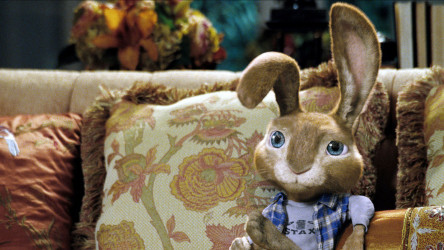 Film - Peter Rabbit 2 - Into Film