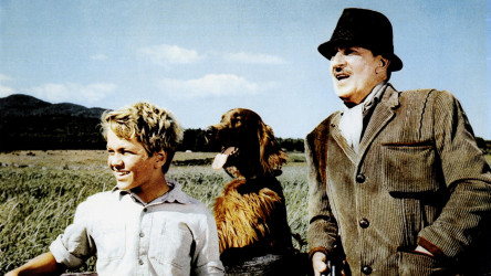 Review Flow - Into Film