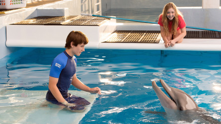 Film - Dolphin Tale - Into Film