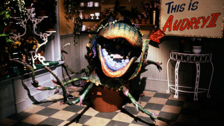Film - Gremlins - Into Film