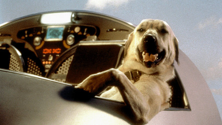 Film - Pixar Shorts Volume 2: Dug's Special Mission - Into Film