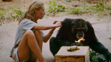 Film - Women of Impact: Changing the World - Into Film