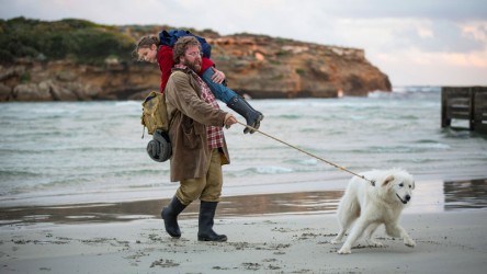 Resource - Oddball and the Penguins: Film Guide - Into Film