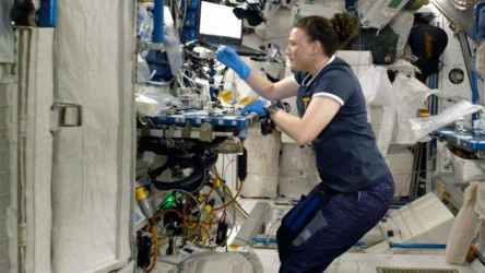 Film - Pompeii: Secrets of the Dead - Into Film