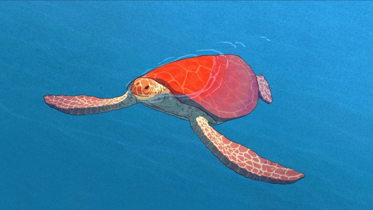 Film - The Red Turtle - Into Film