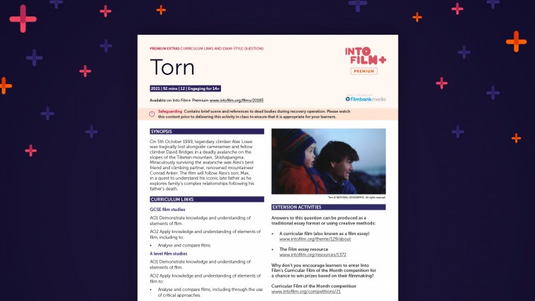 Film - Torn - Into Film