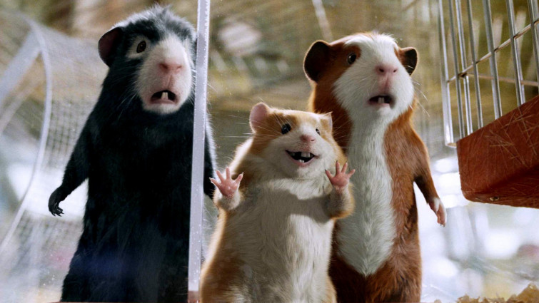 Review Flow - Into Film