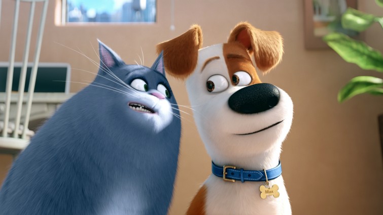Dogs on Film - Into Film
