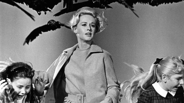 Animation: Rotoscoping - Into Film