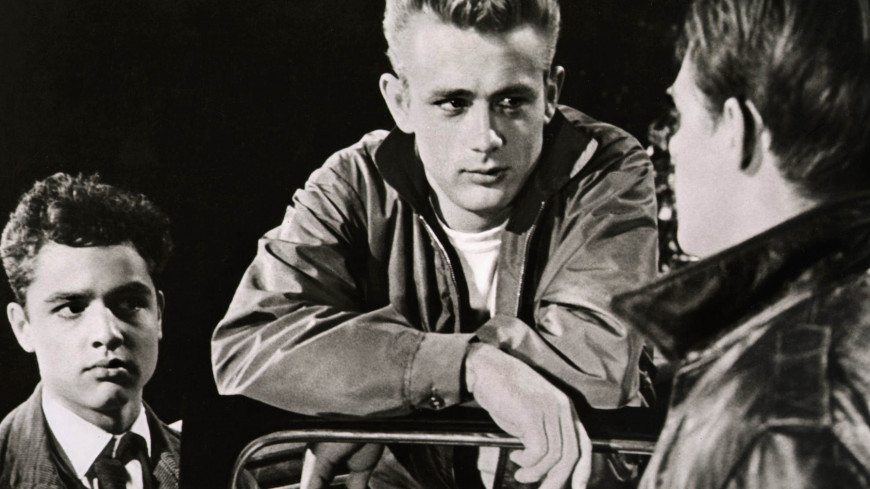 rebel without a cause interview