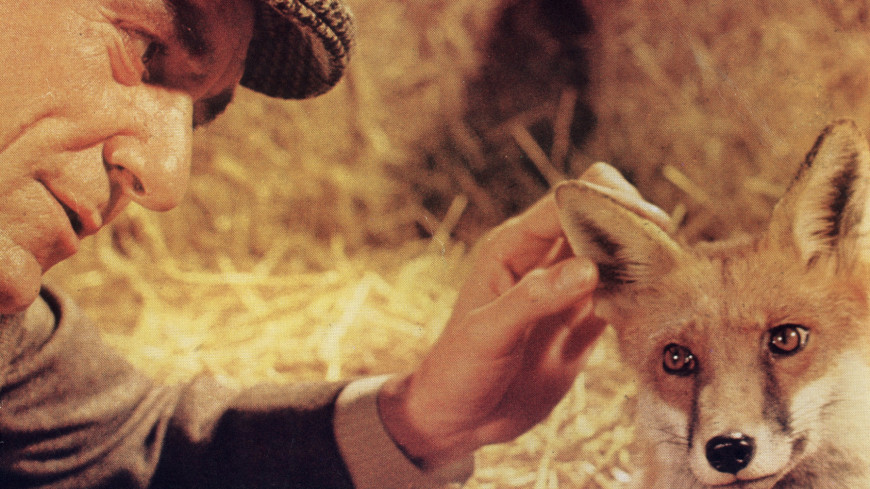 Review Flow - Into Film