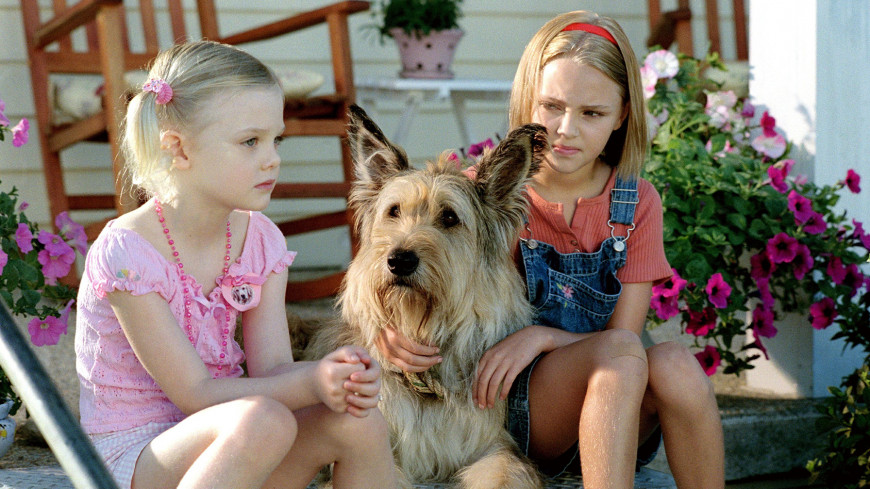 Film - Because of Winn-Dixie - Into Film
