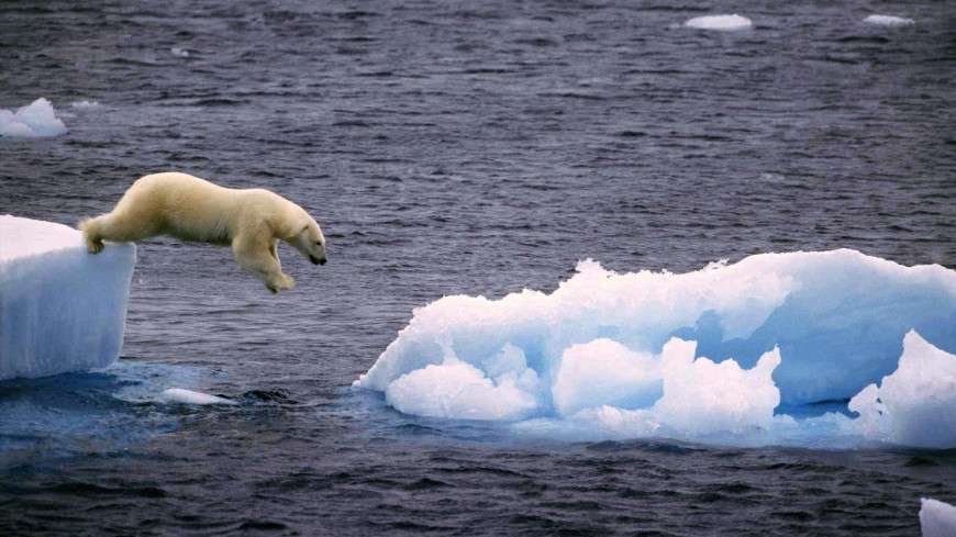 Film - Earth - Into Film