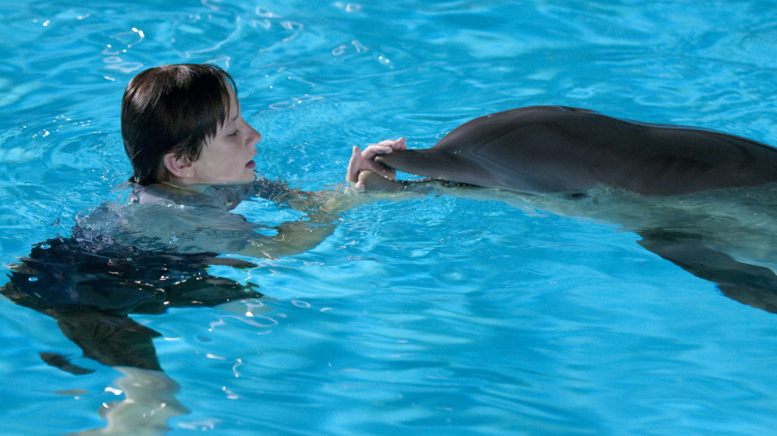Film - Dolphin Tale - Into Film