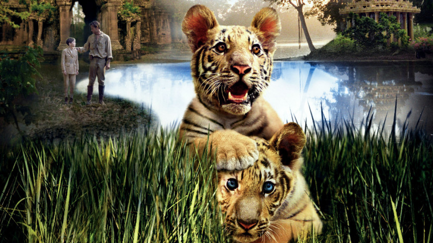 Film - Two Brothers - Into Film