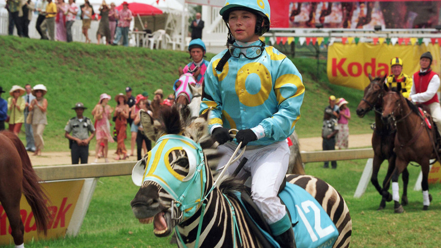 Film - Racing Stripes - Into Film