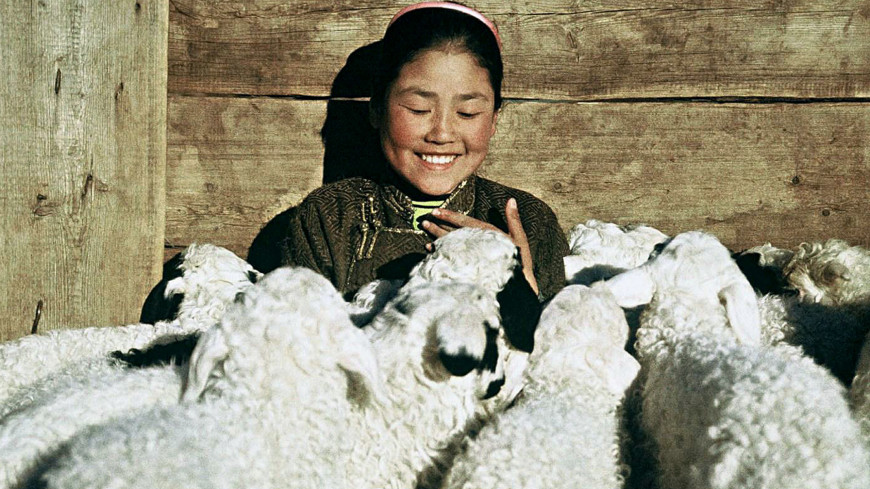 Review Flow - Into Film