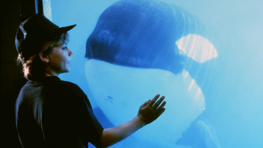 Review Flow - Into Film