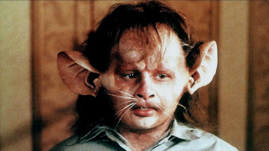 Review Flow - Into Film