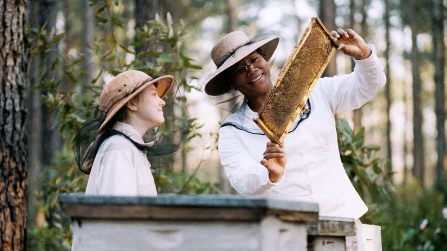 Film - The Secret Life of Bees - Into Film