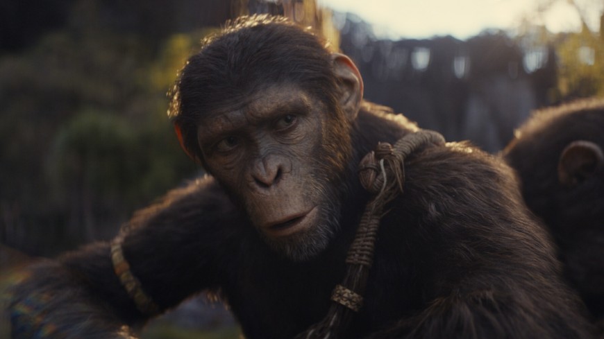 Film - Kingdom of the Planet of the Apes - Into Film