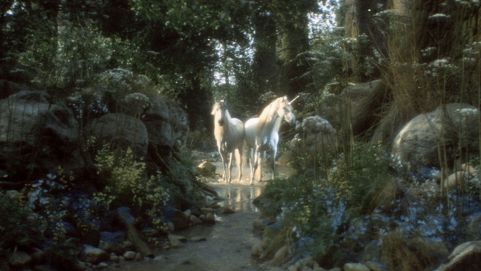 Film - Legend - Into Film