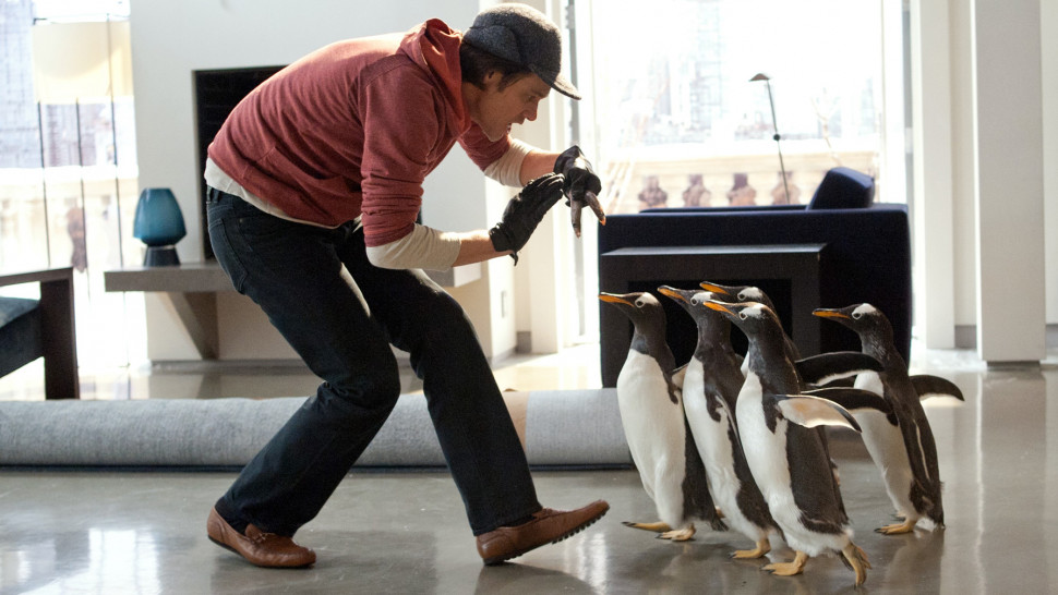 Film - Mr Popper's Penguins - Into Film