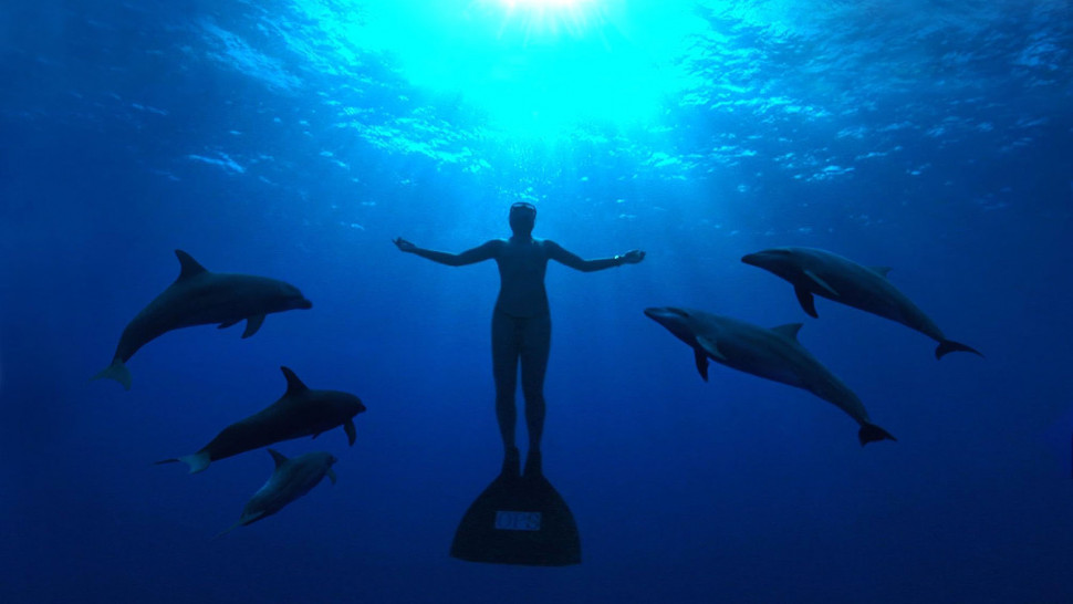 Film - The Cove - Into Film