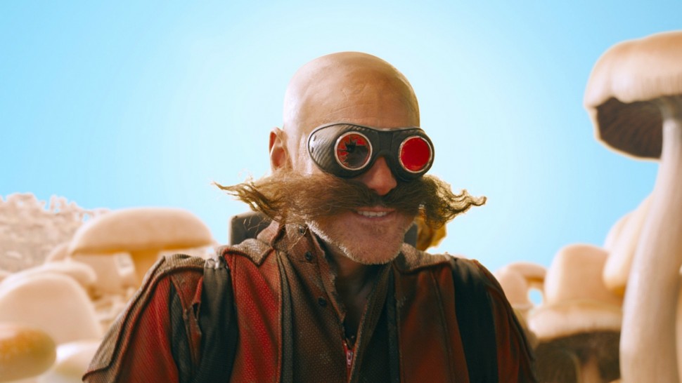 Film - Sonic the Hedgehog - Into Film