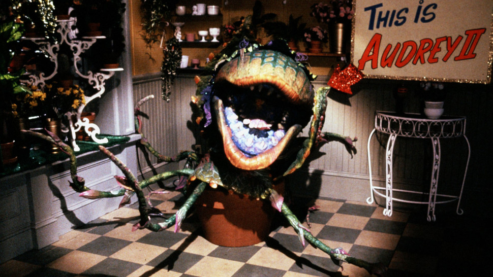 Film - Little Shop of Horrors - Into Film