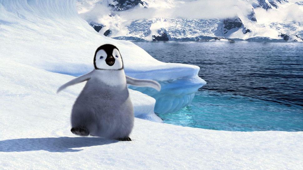 Film - Happy Feet - Into Film
