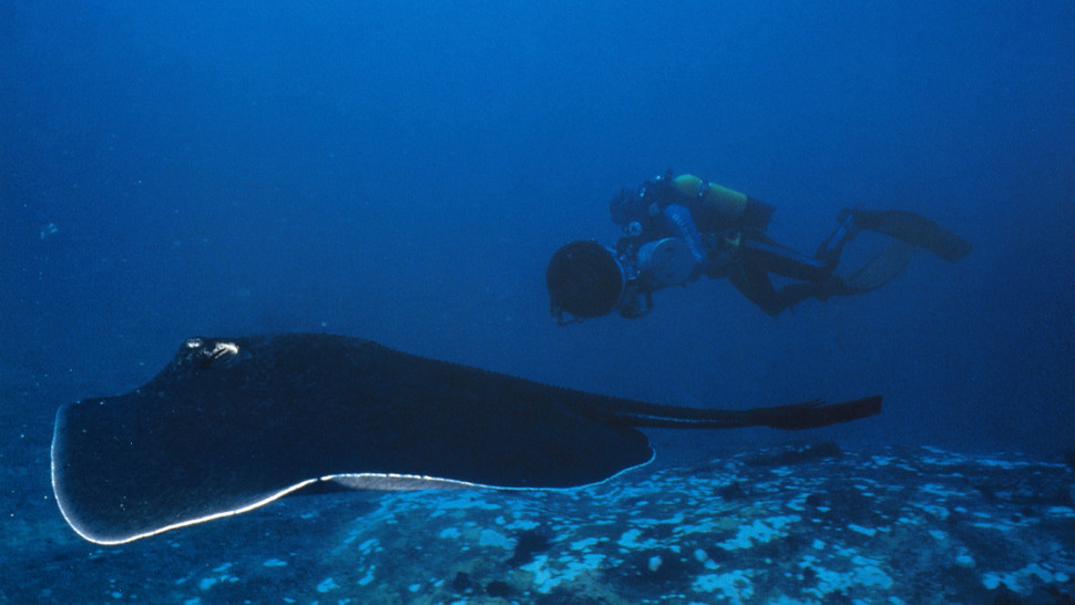 Film - Atlantis - Into Film