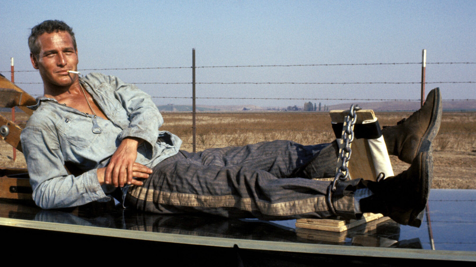 Film - Cool Hand Luke - Into Film