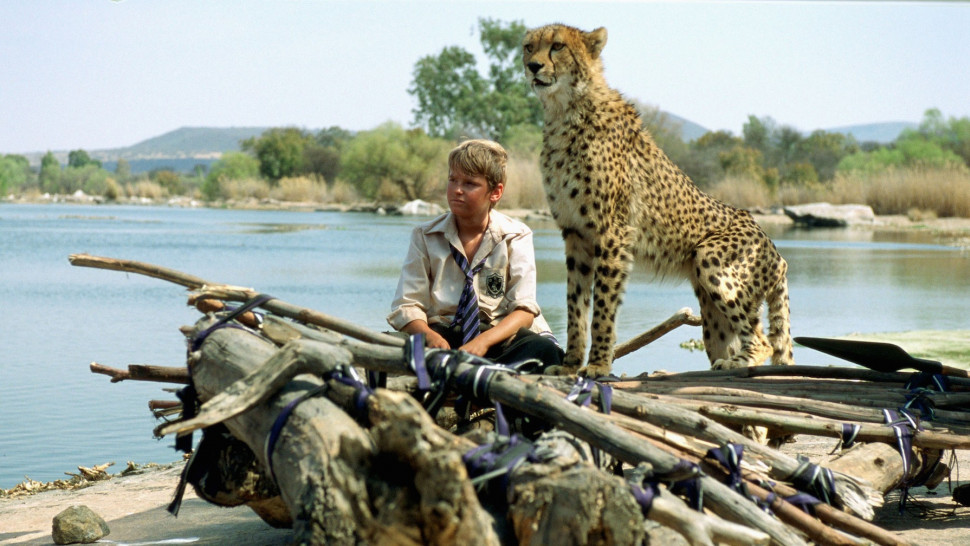 Film - Duma - Into Film