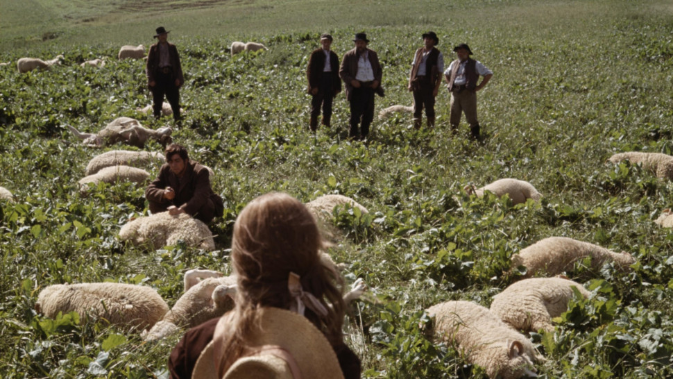 Film - Far From The Madding Crowd - Into Film